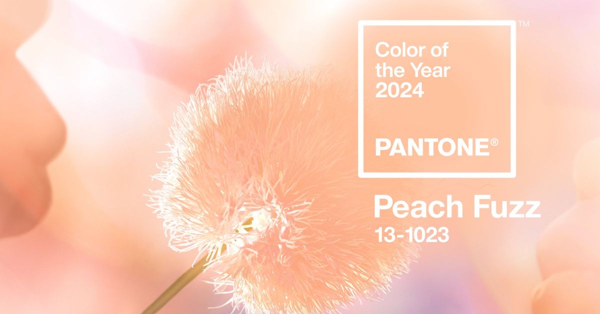 Pantone’s 2024 Color of the Year Revealed: Peach Fuzz! Set the Trend ...